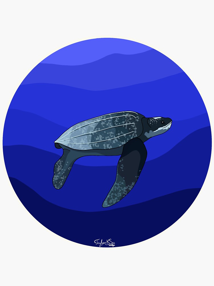 "Leatherback Sea Turtle" Sticker for Sale by taylorksea | Redbubble