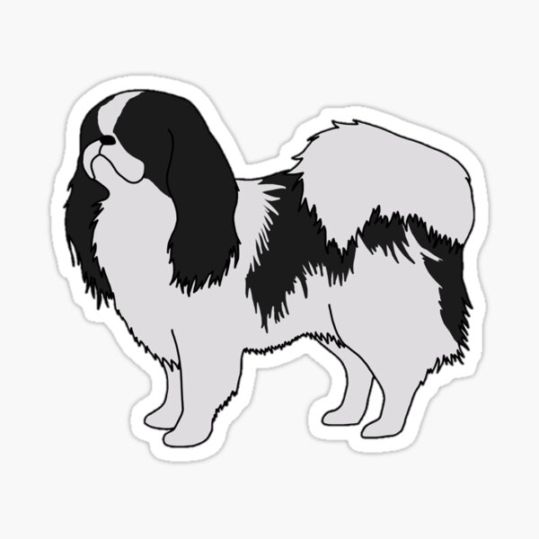 "Japanese Chin" Sticker for Sale by taylorrowan | Redbubble