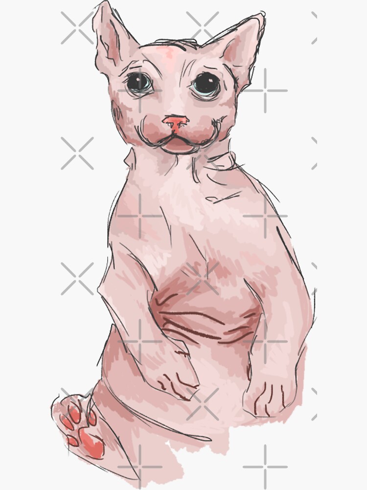 "bingus cat" Sticker by zanbo | Redbubble