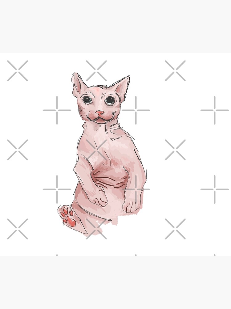 "bingus cat" Poster by zanbo | Redbubble