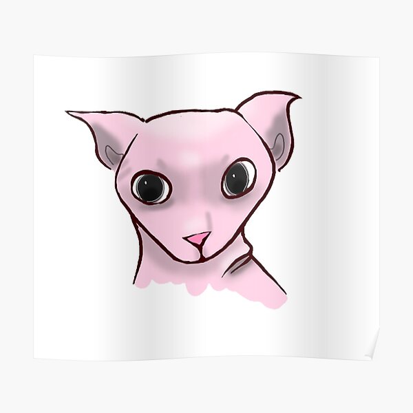 "bingus cat" Poster by zanbo | Redbubble