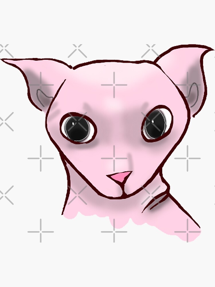 "bingus cat" Sticker by zanbo | Redbubble