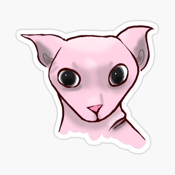"bingus cat" Sticker by zanbo | Redbubble