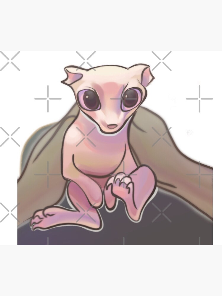 "bingus cat" Poster by zanbo | Redbubble