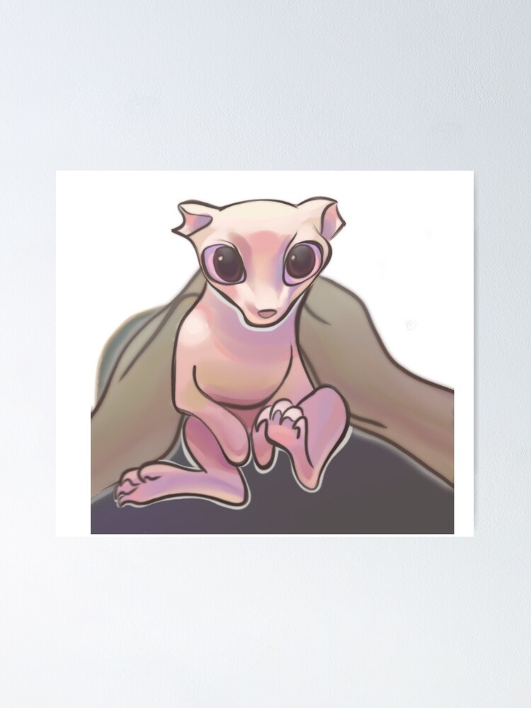 "bingus cat" Poster by zanbo | Redbubble