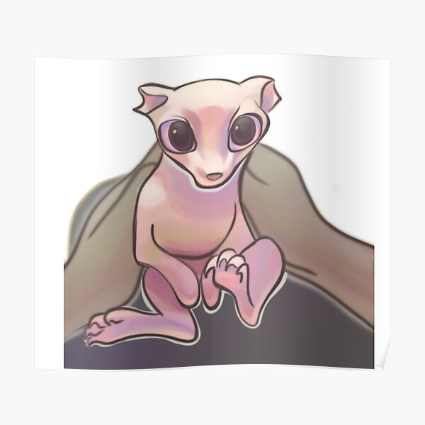 "bingus cat" Poster by zanbo | Redbubble