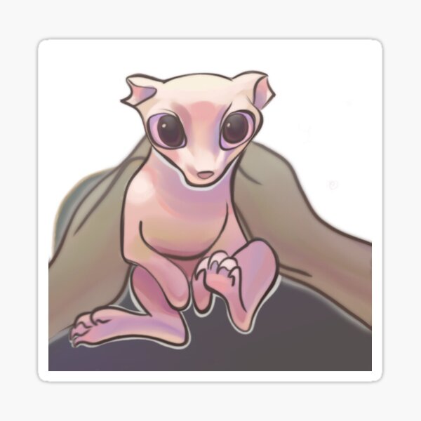 "bingus cat" Sticker by zanbo | Redbubble