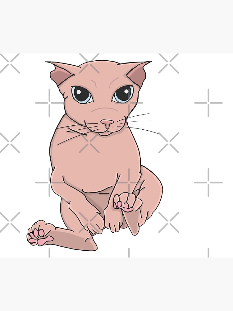 "bingus cat" Poster for Sale by zanbo | Redbubble