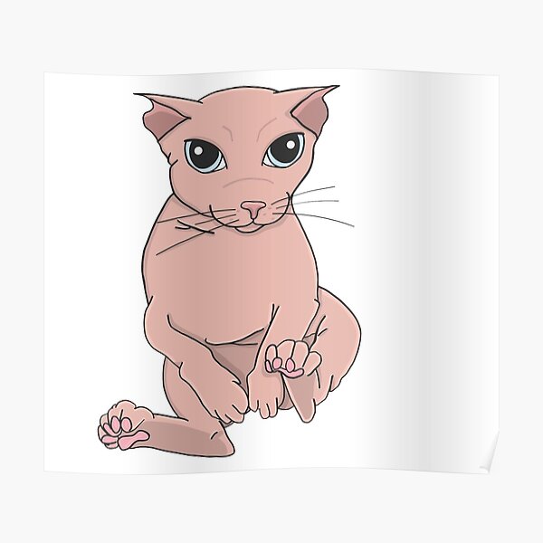 "bingus cat" Poster for Sale by zanbo | Redbubble