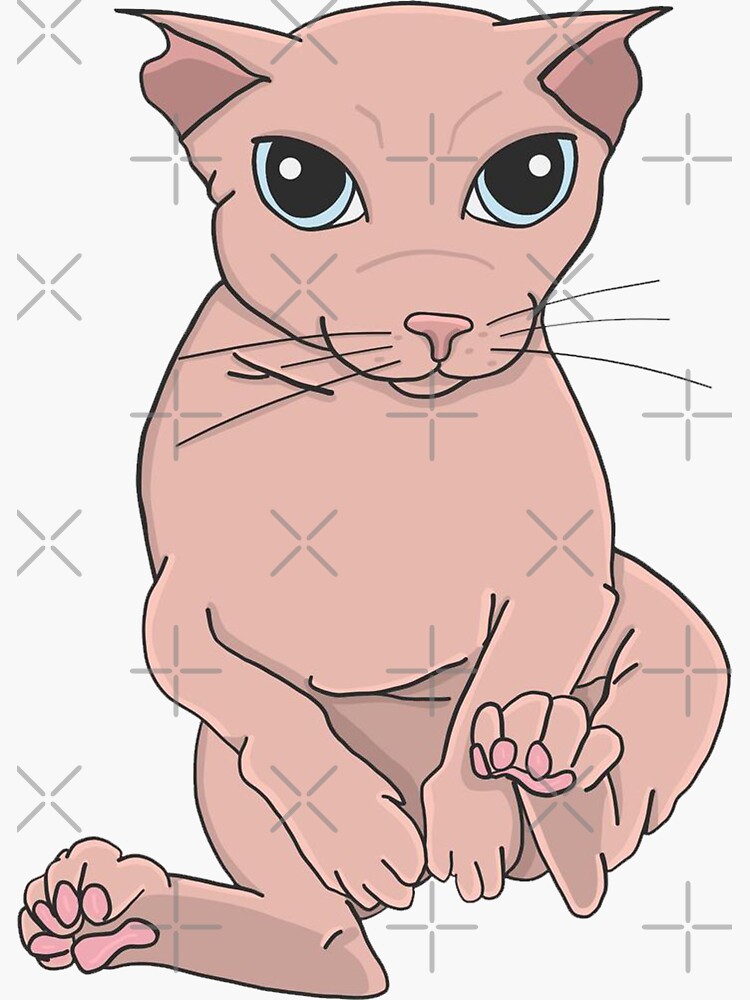 "bingus cat" Sticker by zanbo | Redbubble