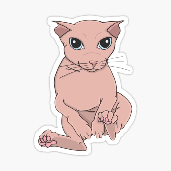 "bingus cat" Sticker by zanbo | Redbubble