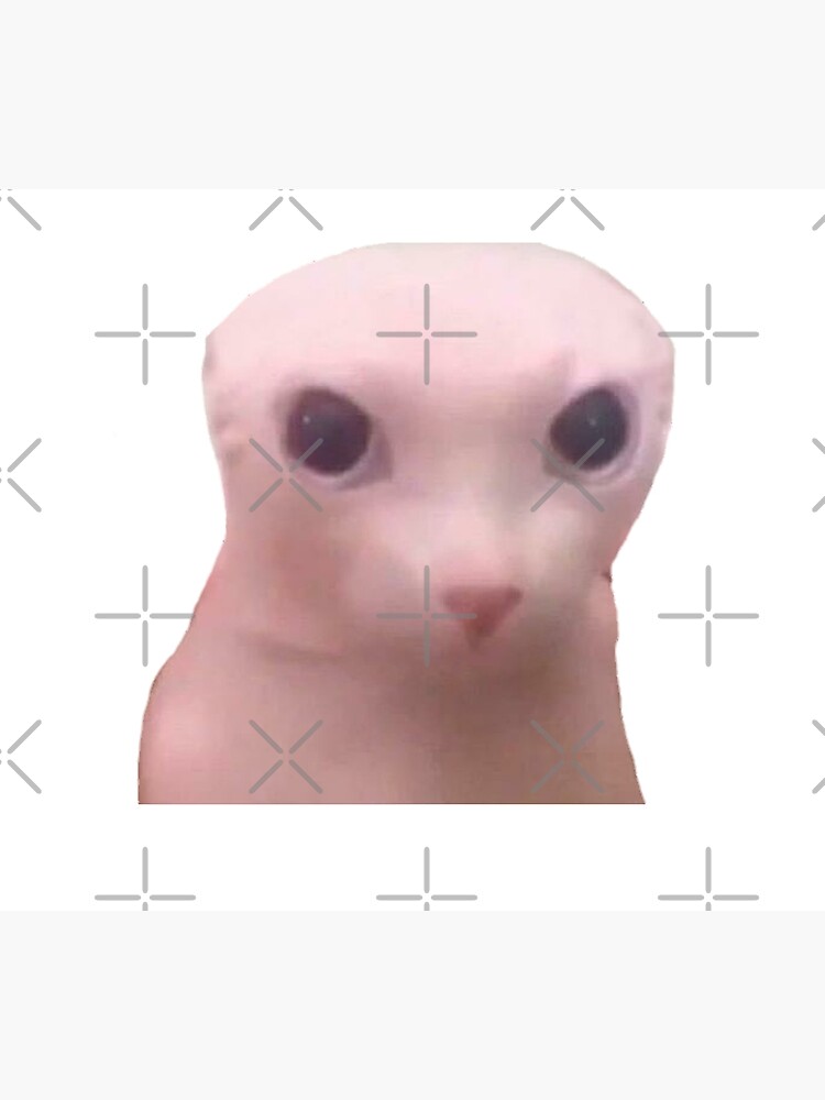 "bingus cat" Poster by zanbo | Redbubble