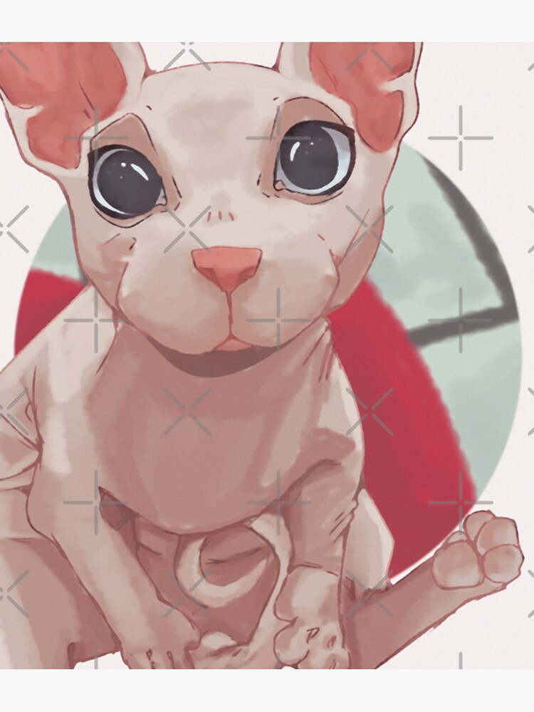 "bingus cat" Sticker for Sale by zanbo | Redbubble