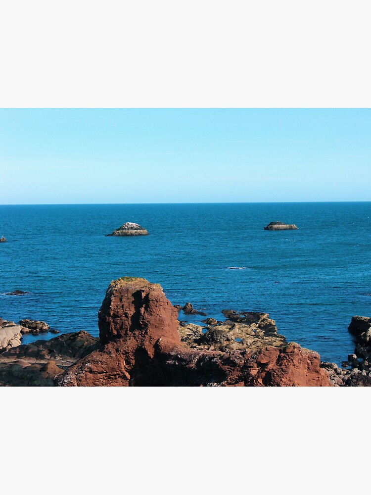 "Simplistic Dunbar" Sticker by Dramapanda13 | Redbubble