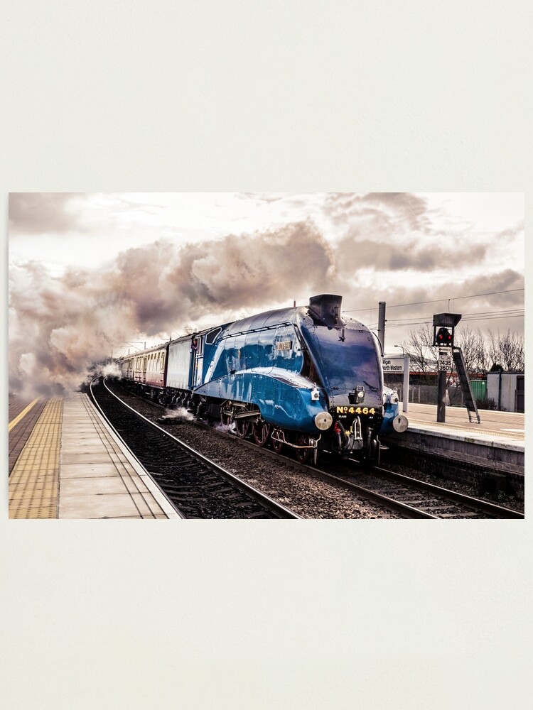 "Mallard Train" Photographic Print for Sale by Jack Ventura | Redbubble