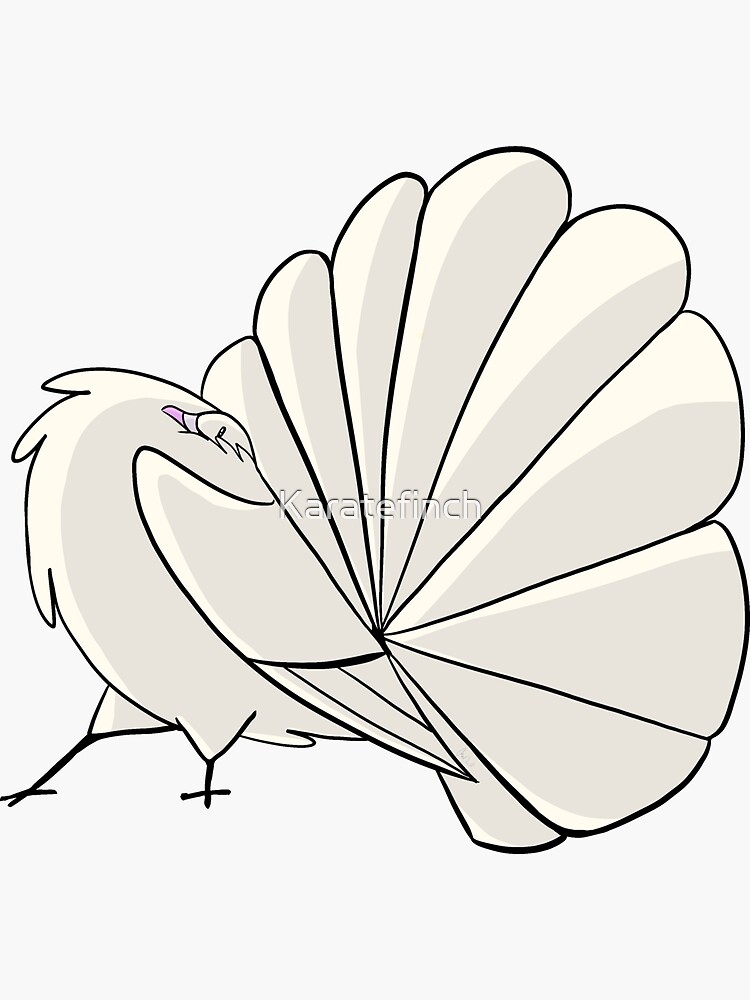 "White American Fantail" Sticker for Sale by Karatefinch | Redbubble
