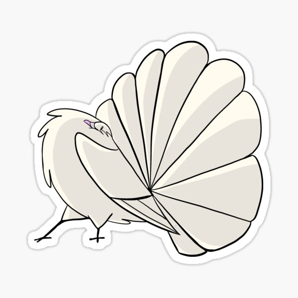 "White American Fantail" Sticker for Sale by Karatefinch | Redbubble