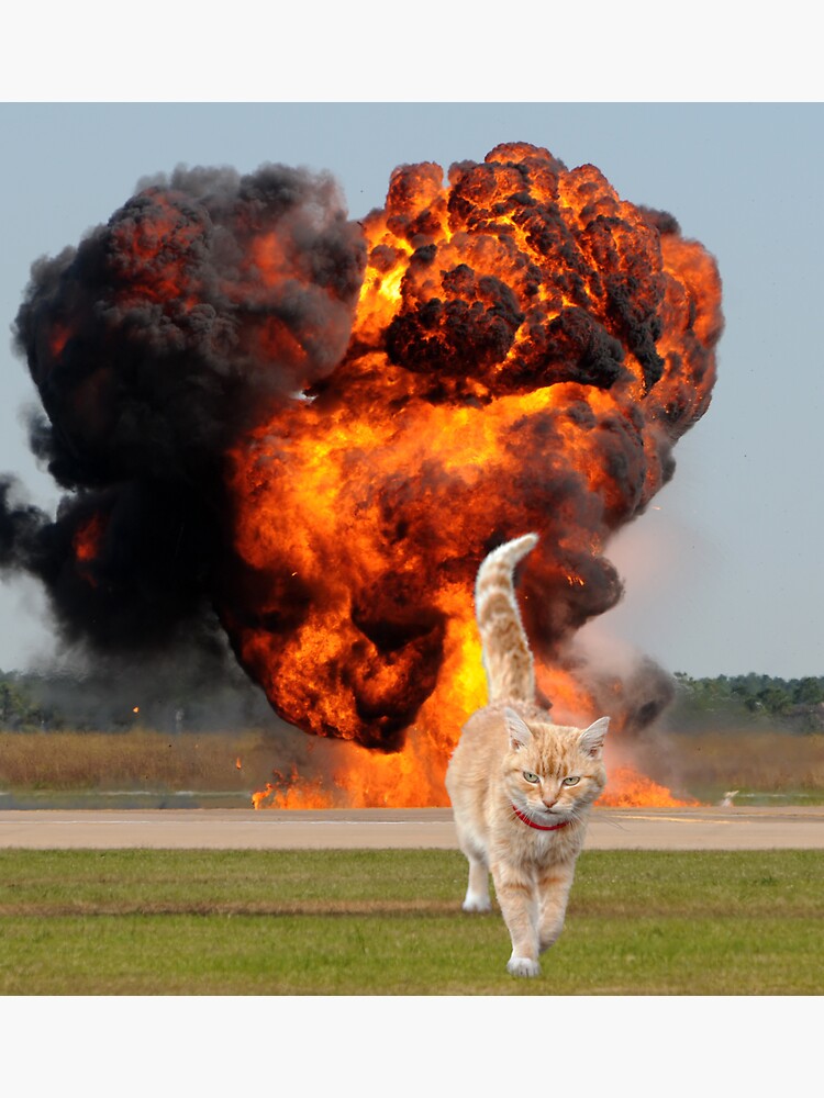 "Cat walking away from explosion GME Gamestop Stock Deep Value Roaring ...