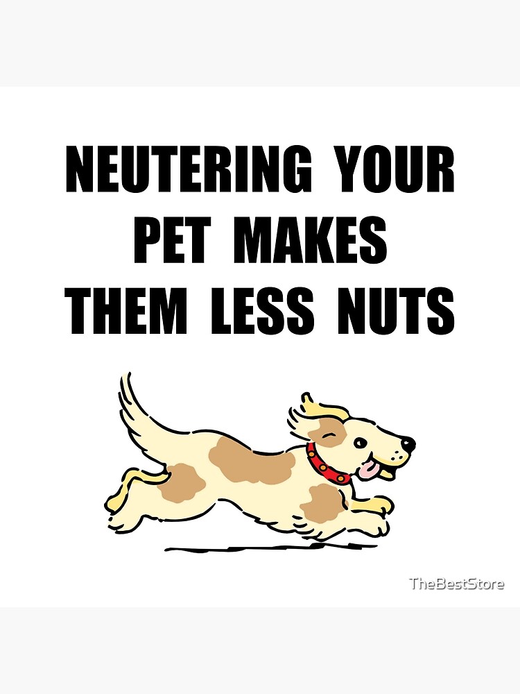 Spay and Neuter one dog Sublimation Transfer Dog Ball's are funny # ...