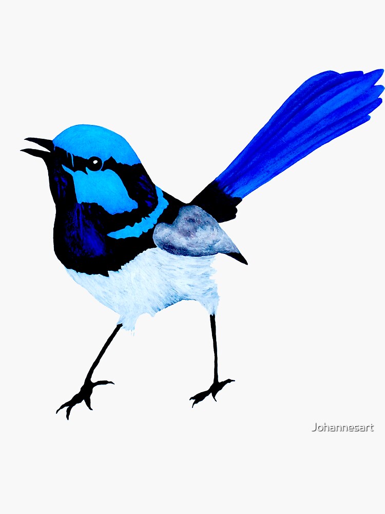 "Cute Blue Wren bird t shirt" Sticker for Sale by Johannesart | Redbubble