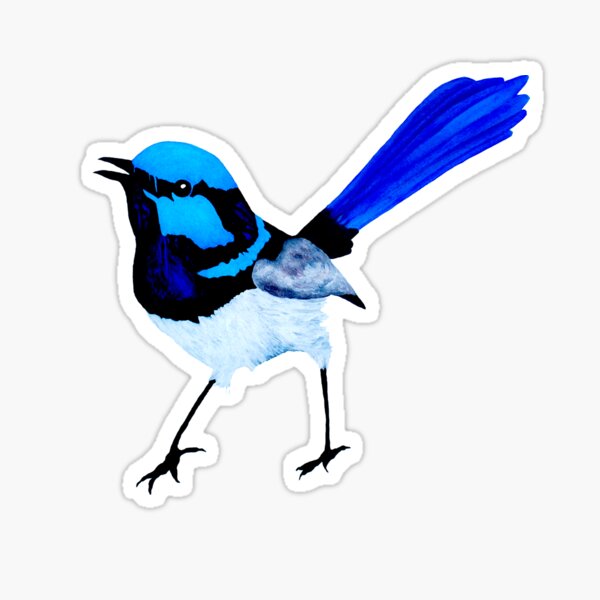 "Cute Blue Wren bird t shirt" Sticker for Sale by Johannesart | Redbubble
