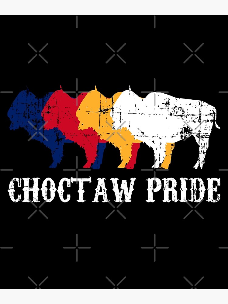 "Choctaw Nation Pride Native American Chahta Indians" Poster for Sale ...