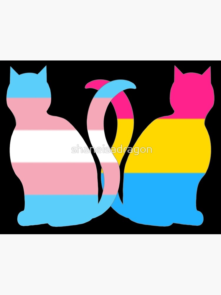 Trans Pansexual Pride Cats Photographic Print By Shaneisadragon