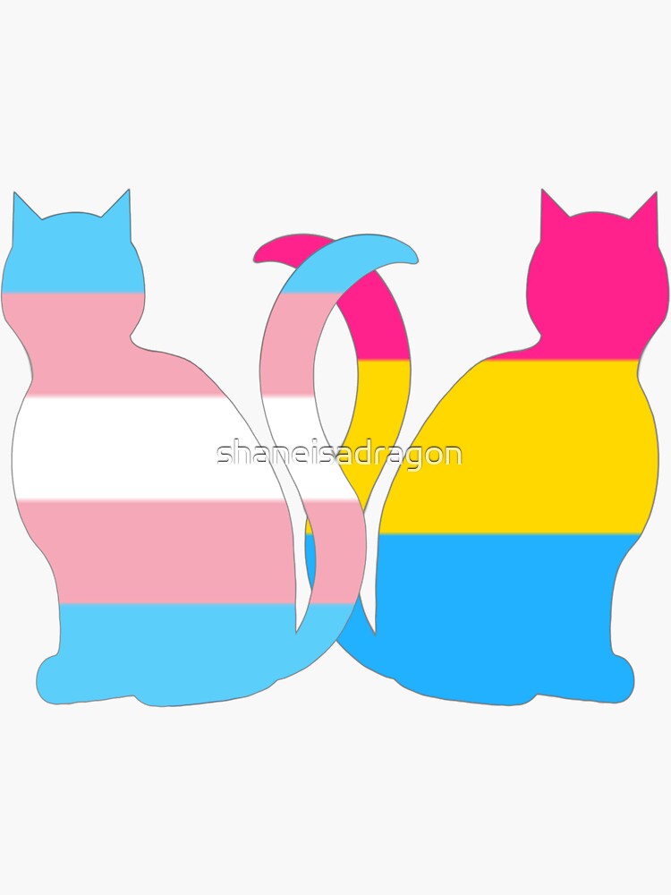 "Trans Pansexual Pride Cats" Sticker for Sale by shaneisadragon | Redbubble