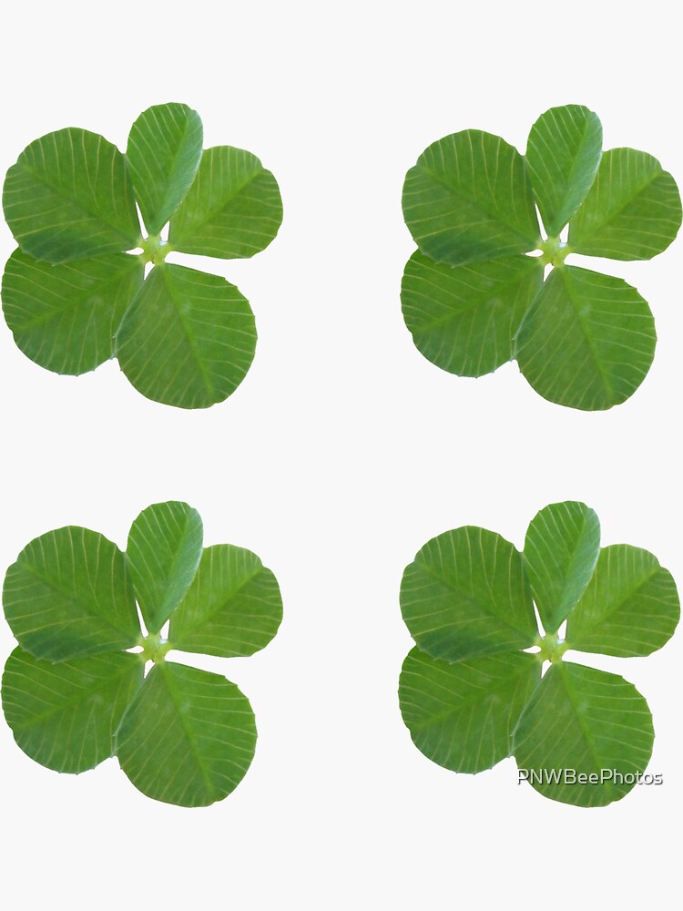 "Five-Leaf Clover" Sticker for Sale by PNWBeePhotos | Redbubble