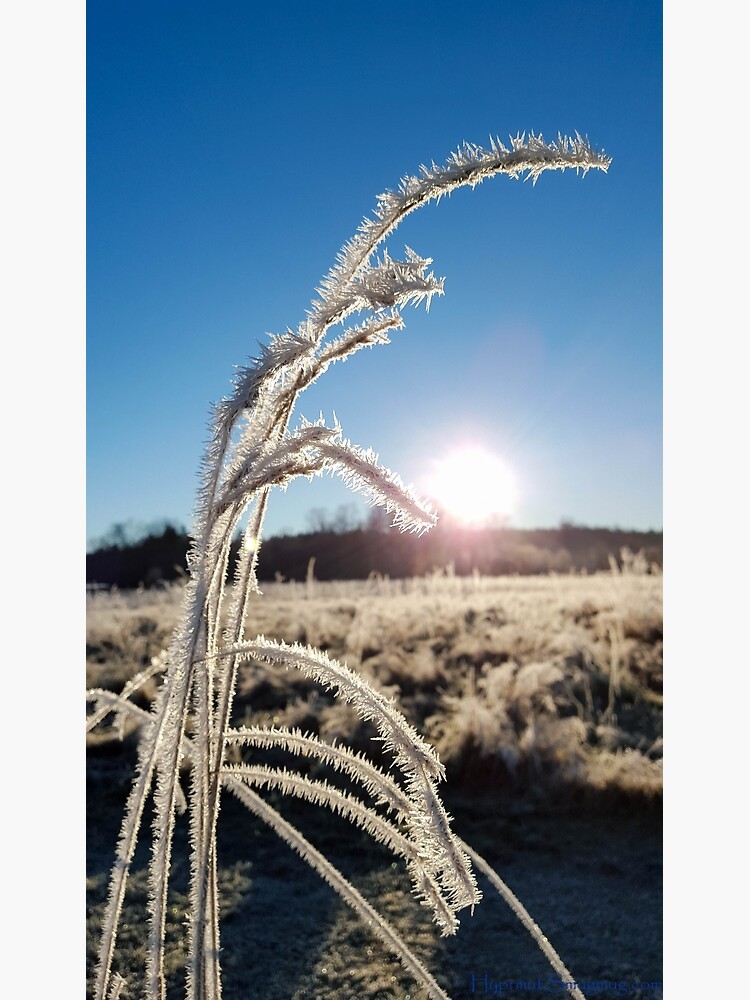 "Frozen Sun" Poster by KaeMutt | Redbubble