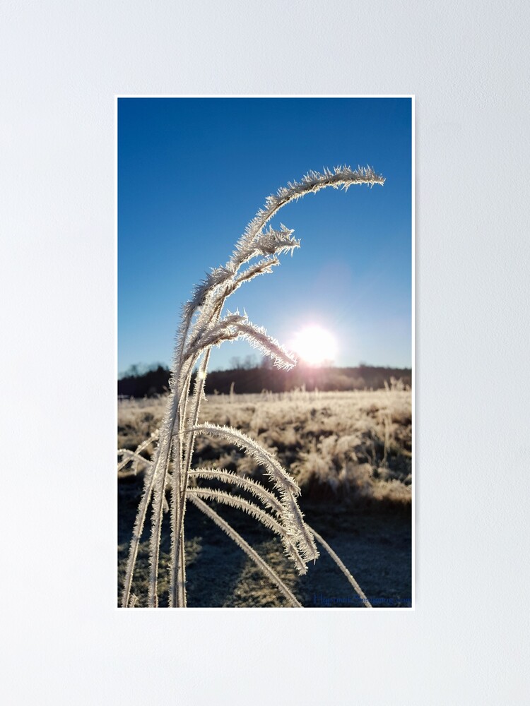 "Frozen Sun" Poster by KaeMutt | Redbubble