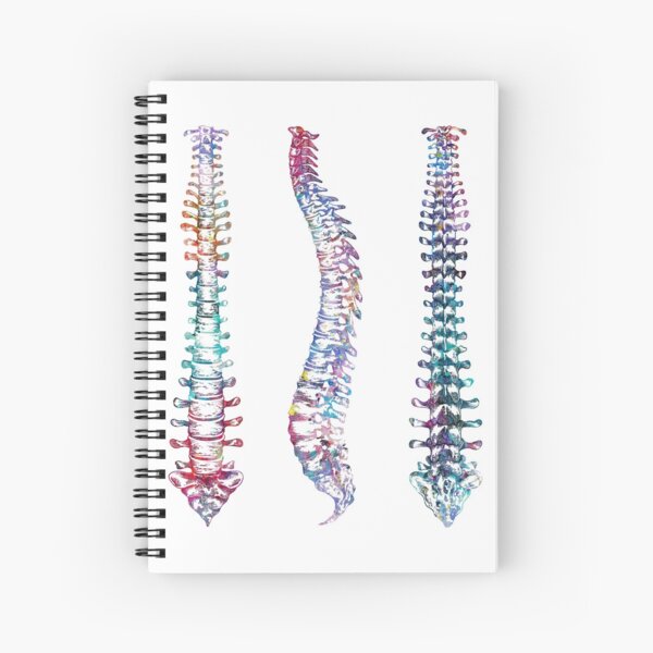 Cuaderno de espiral «Anatomía de la columna vertebral frontal ...