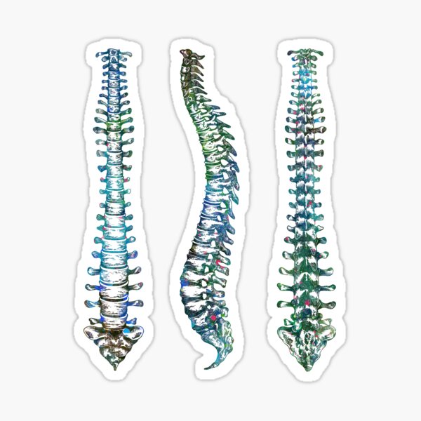 Back Side Stickers for Sale | Redbubble