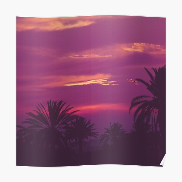 "Violet Palm Tree Sunset" Poster by leougiglio | Redbubble
