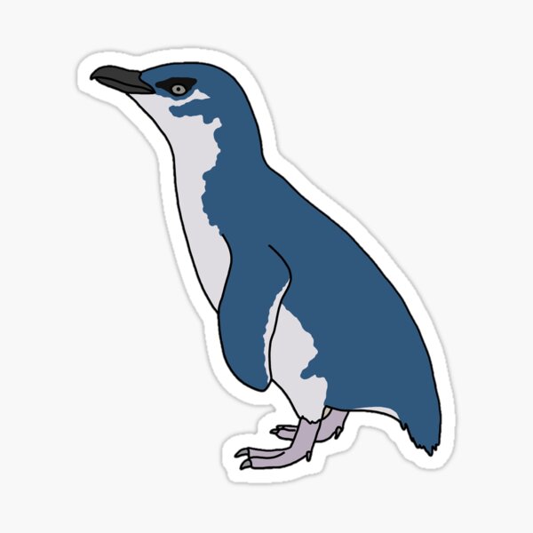 "Little Blue Penguin" Sticker for Sale by taylorrowan | Redbubble
