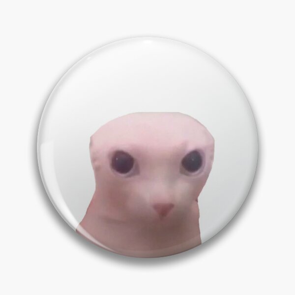 Bingus My Beloved Gifts & Merchandise | Redbubble