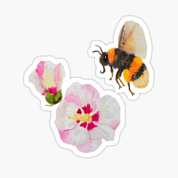 Paper & Party Supplies You Choose ~ Roses ~ Bumble Bees with Honey and ...