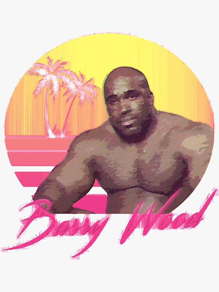 "Barry Wood Vintage Aesthetic " Sticker for Sale by Sunnjoanna | Redbubble