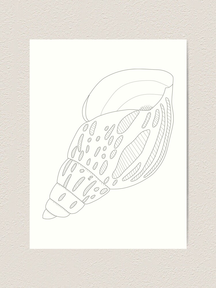"Sea Snail Shell Line Drawing" Art Print for Sale by KsbAesthetics ...