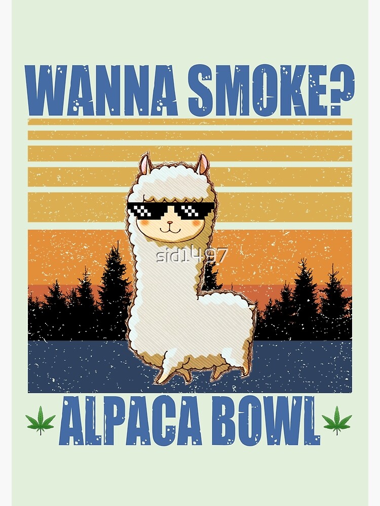 Alpaca Bowl Meme Alpaca Bowl When I Get Back | TikTok