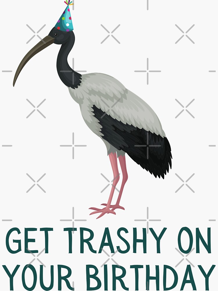 "Get Trashy On Your Birthday " Sticker for Sale by Quoteeble | Redbubble