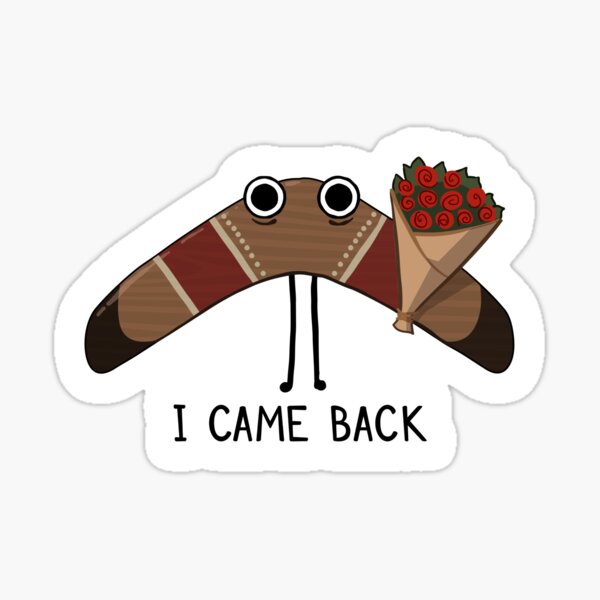Boomerang Stickers | Redbubble