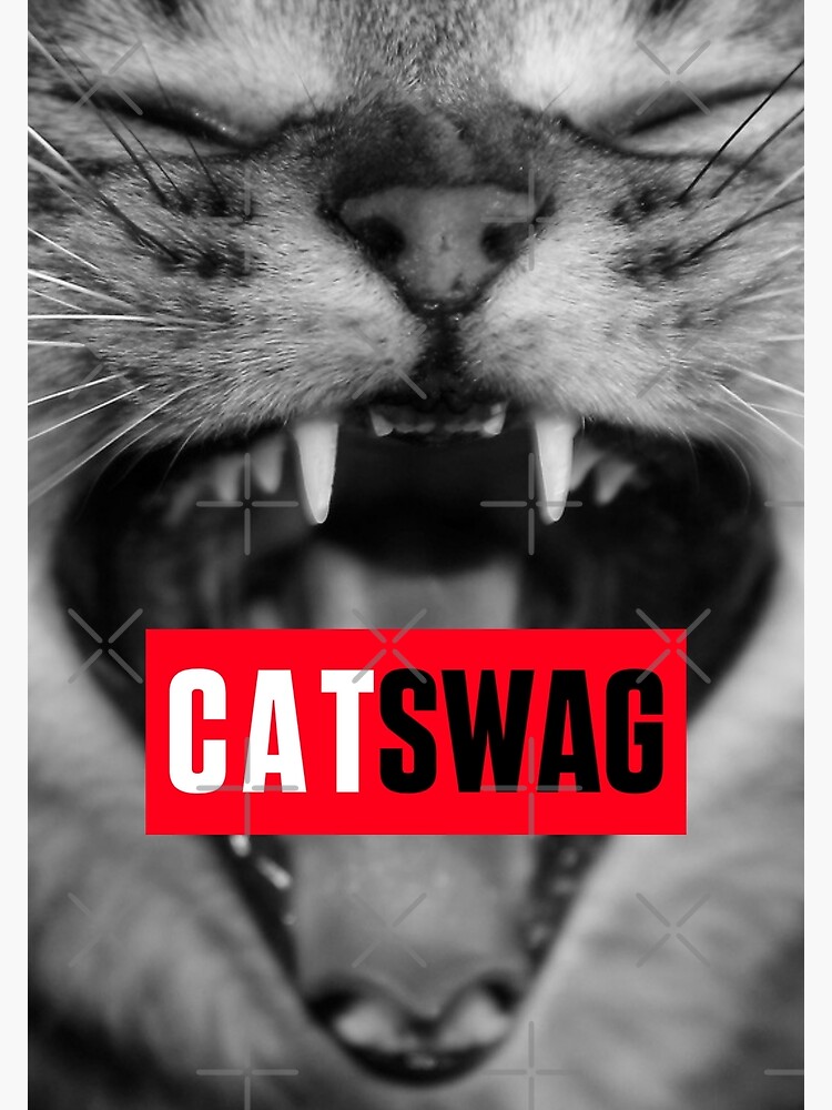 Lámina fotográfica «Colección de diseño fotográfico BIG FACE de la ...