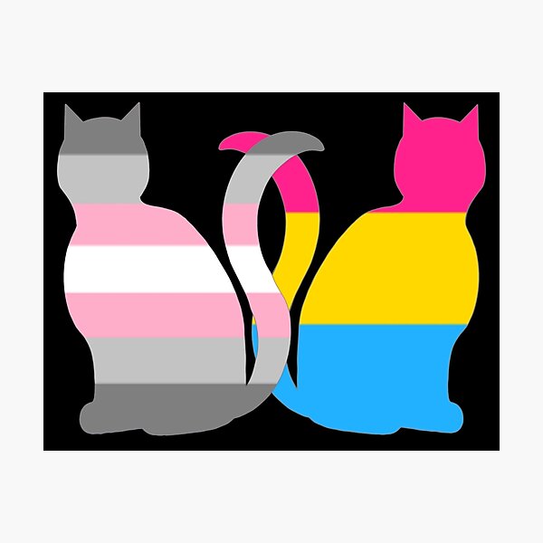 "Pansexual Demigirl Pride Cats" Photographic Print for Sale by ...