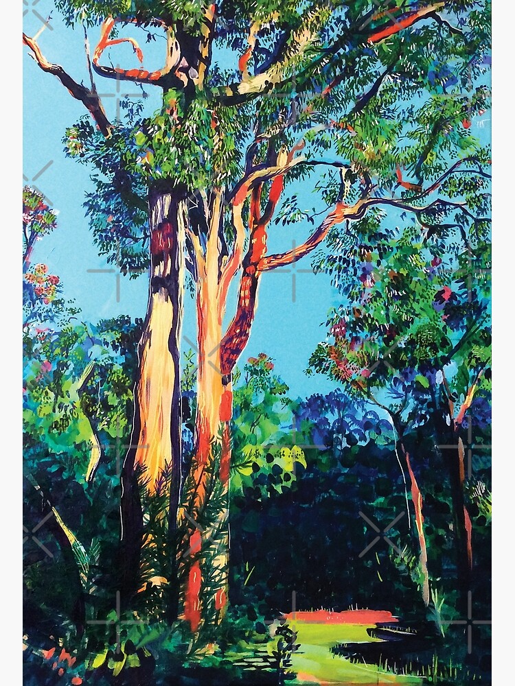 "Jarrah tree in Gelorup, South Western Australia" Photographic Print ...