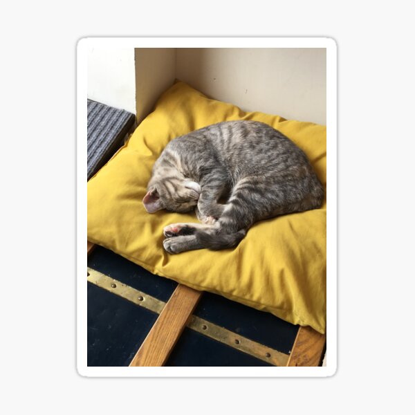 "Sleeping Cat" Sticker for Sale by danithedino | Redbubble