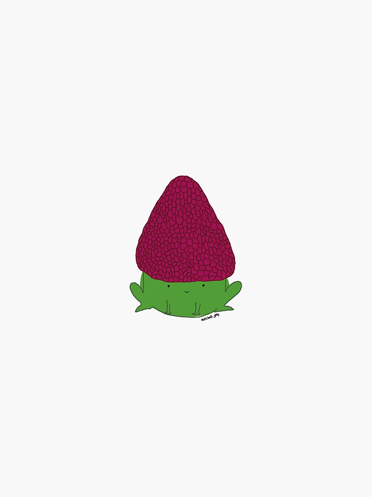 "lil frog with raspberry hat" Sticker for Sale by deannas0807 | Redbubble