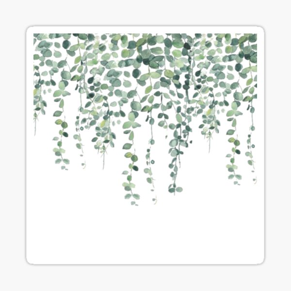 "Hanging Vines" Sticker for Sale by Victoriacai | Redbubble