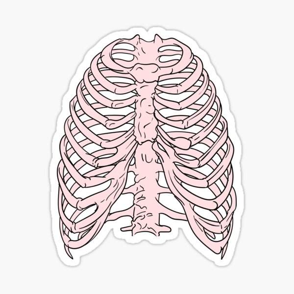 "Ribs 3" Sticker for Sale by mattimac | Redbubble