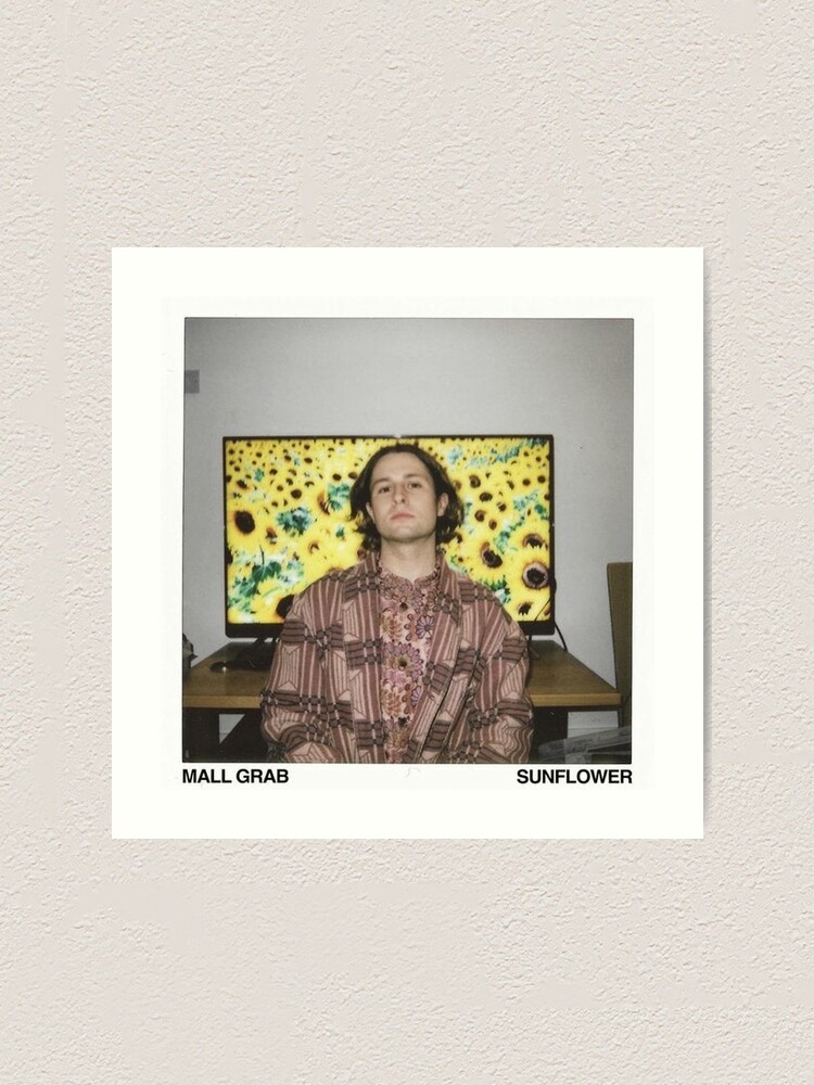 "Mall Grab Album cover" Art Print for Sale by Ceadanhogan | Redbubble